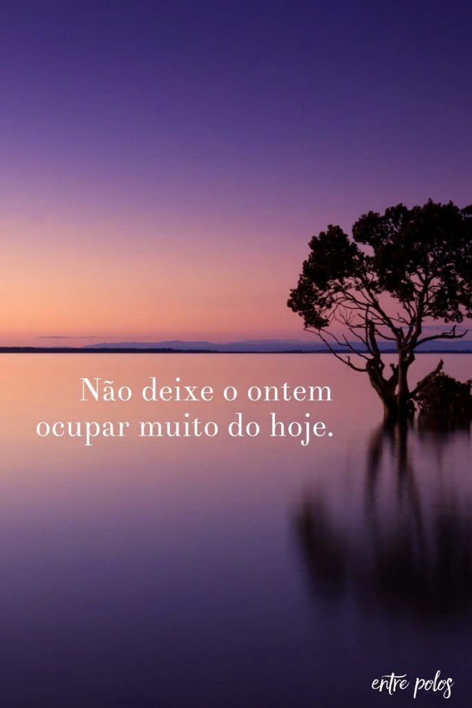 Viajar é Preciso Frases Inspiradoras para Partir - Entre Polos